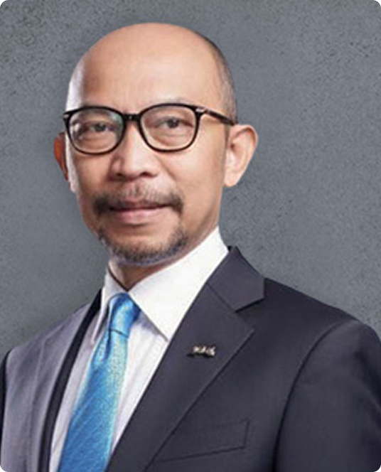 Muhammad Chatib Basri - Dewan Ekonomi Nasional - Republic of Indonesia